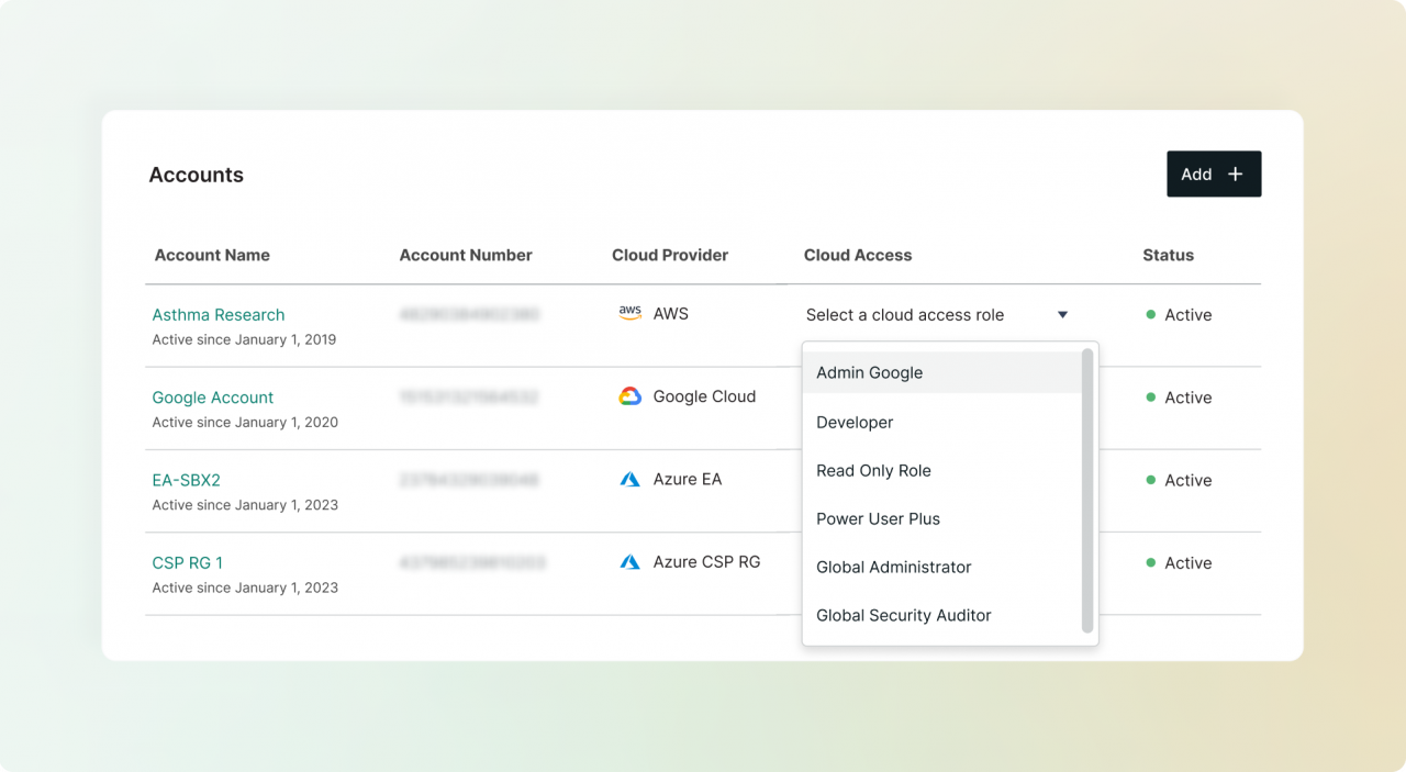 Manage Cloud Access and Permissions | Kion